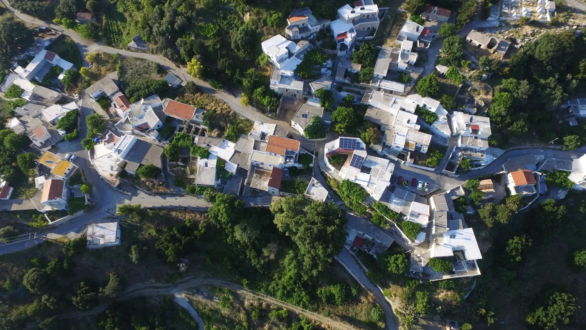 Φωτογραφίες – ΚΙΣΣΟΣ ΡΕΘΥΜΝΟΥ